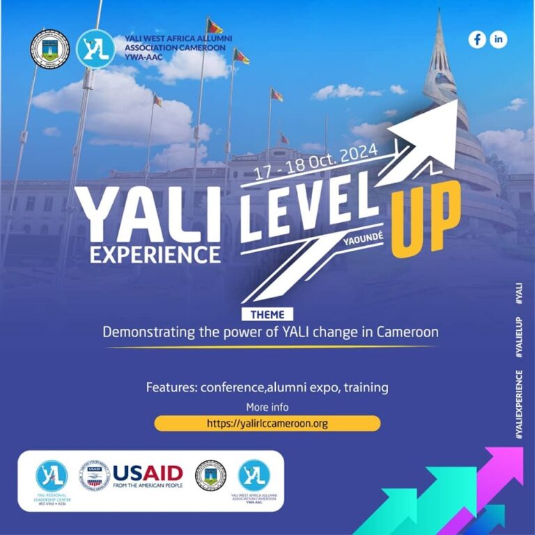 YALI EXPERIENCE LEVEL UP
